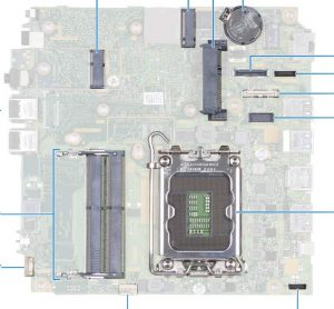 Differences Between Dell OptiPlex 7010 Vs. Plus 7010 (2023 models)